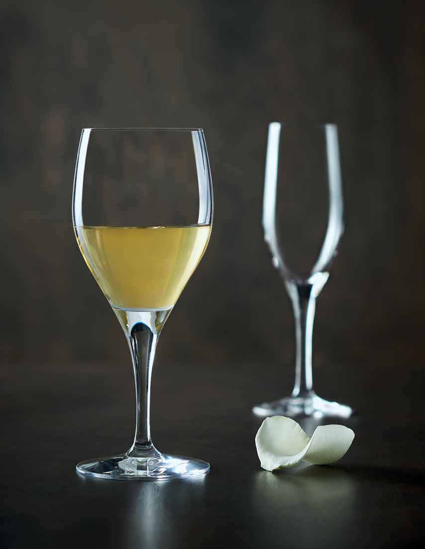 Arc Cardinal Catalog 2024/2025 by Arc Cardinal - Issuu