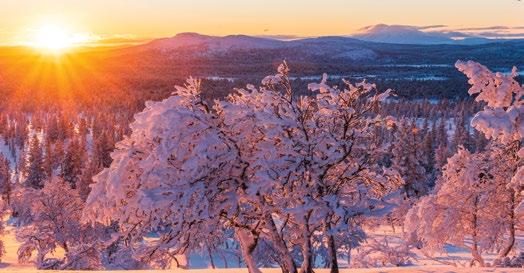 GoMDL Magazine - Fall/Winter 24/25 by 87FSS Marketing - Issuu