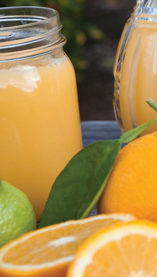 Perricone Farms Product Guide by Nataliesoj - Issuu