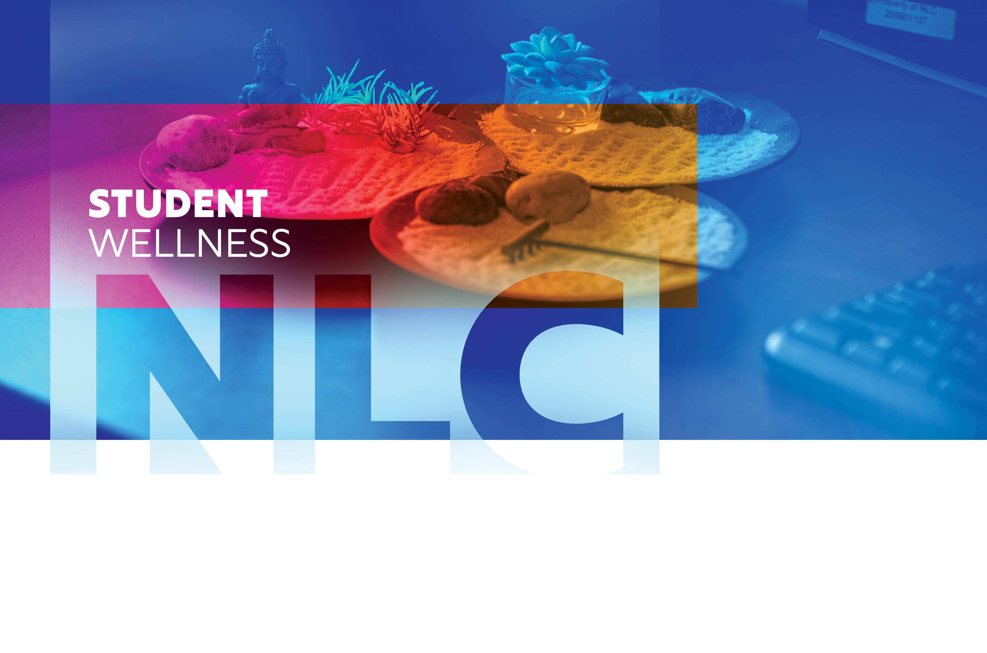 NLC Viewbook (2025-2026) by Northern Lakes College - Issuu