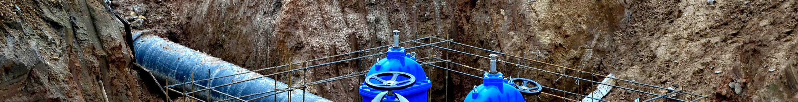 MIKE Powered by DHI: 2025 Software Catalogue by DHI A/S - Issuu