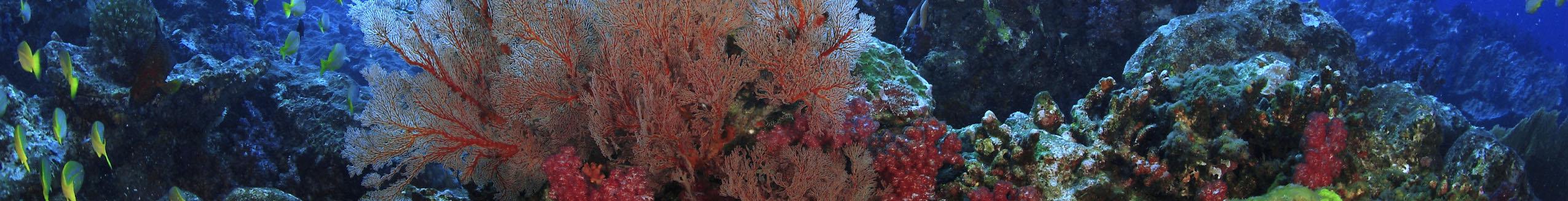 MIKE Powered by DHI: 2025 Software Catalogue by DHI A/S - Issuu