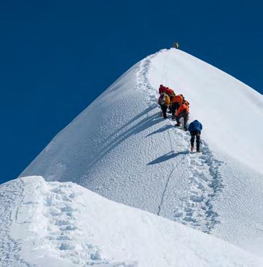 50 Years of BVA by bvagroup - Issuu