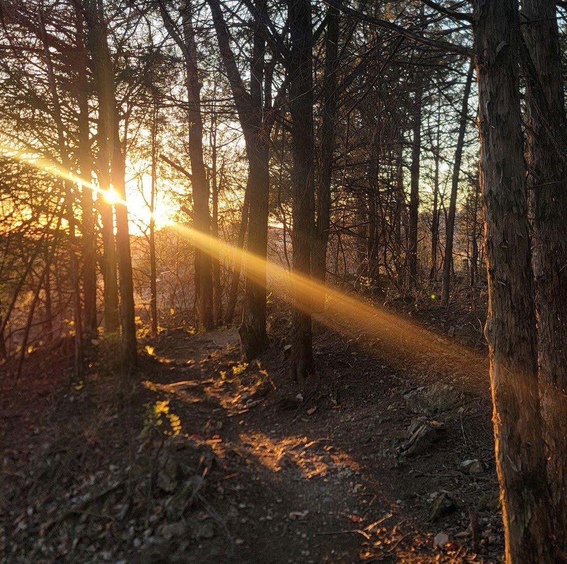 St. Charles County Parks - Winter/Spring 2025 by stccparks - Issuu