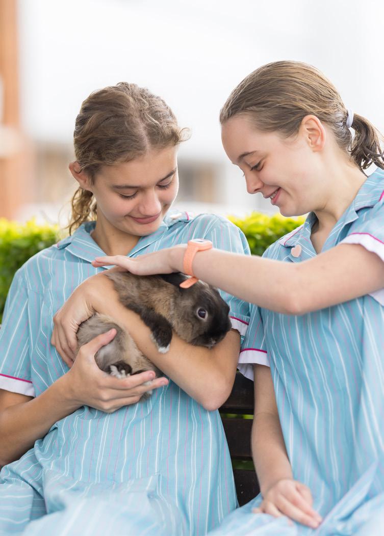 Danebank Handbook 2025 by DanebankAnglicanSchool - Issuu