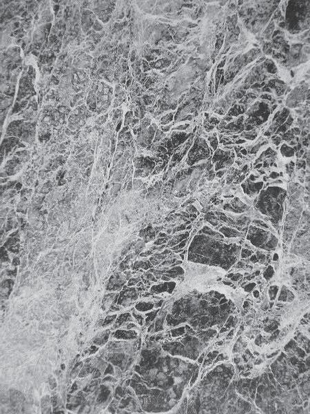NPV Portfolio_2024 by Nolan Vack - Issuu