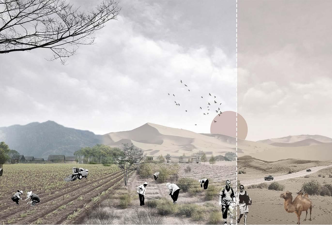 portfolio for UCL Landscape Architecture MLA by 韩小鸥 - Issuu