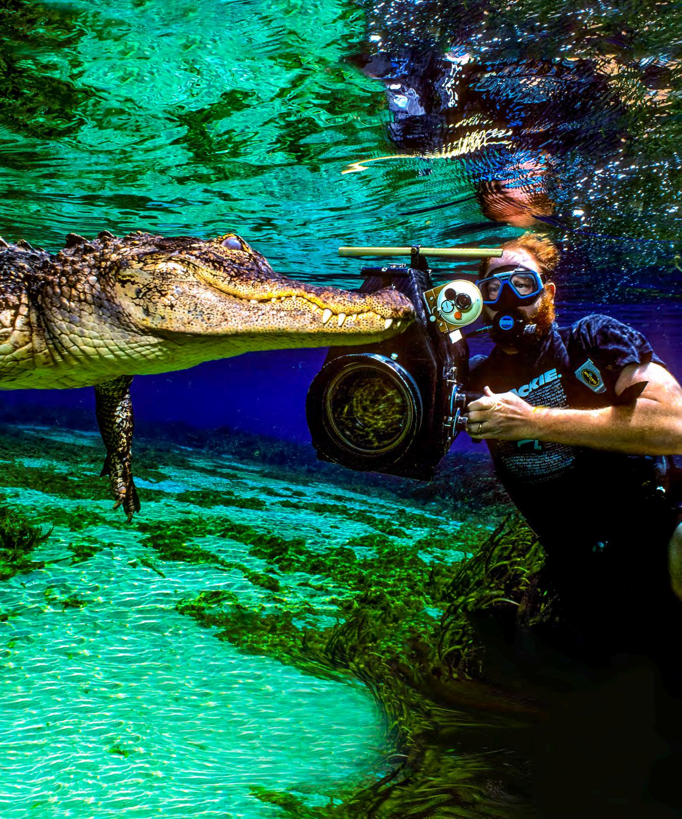 Ocala Magazine January 2025 digital issue by ocalamag - Issuu