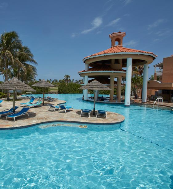2025 DVC Membership Guide by Divi Resorts - Issuu