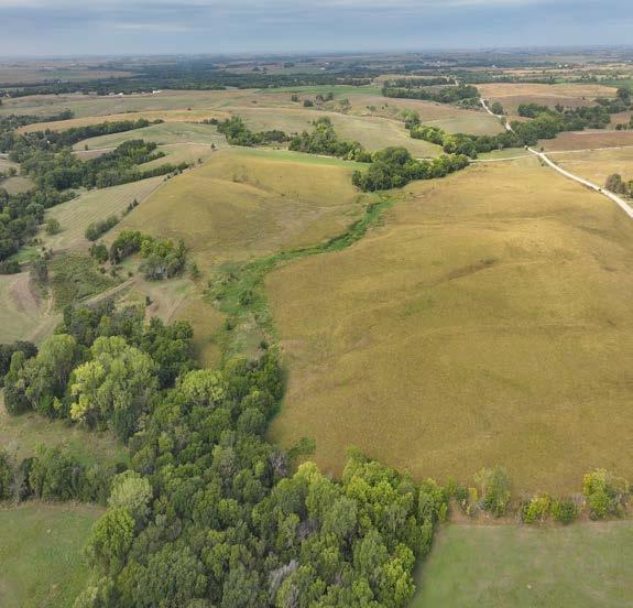 Vlasin Family Land by Agri Affiliates - Issuu