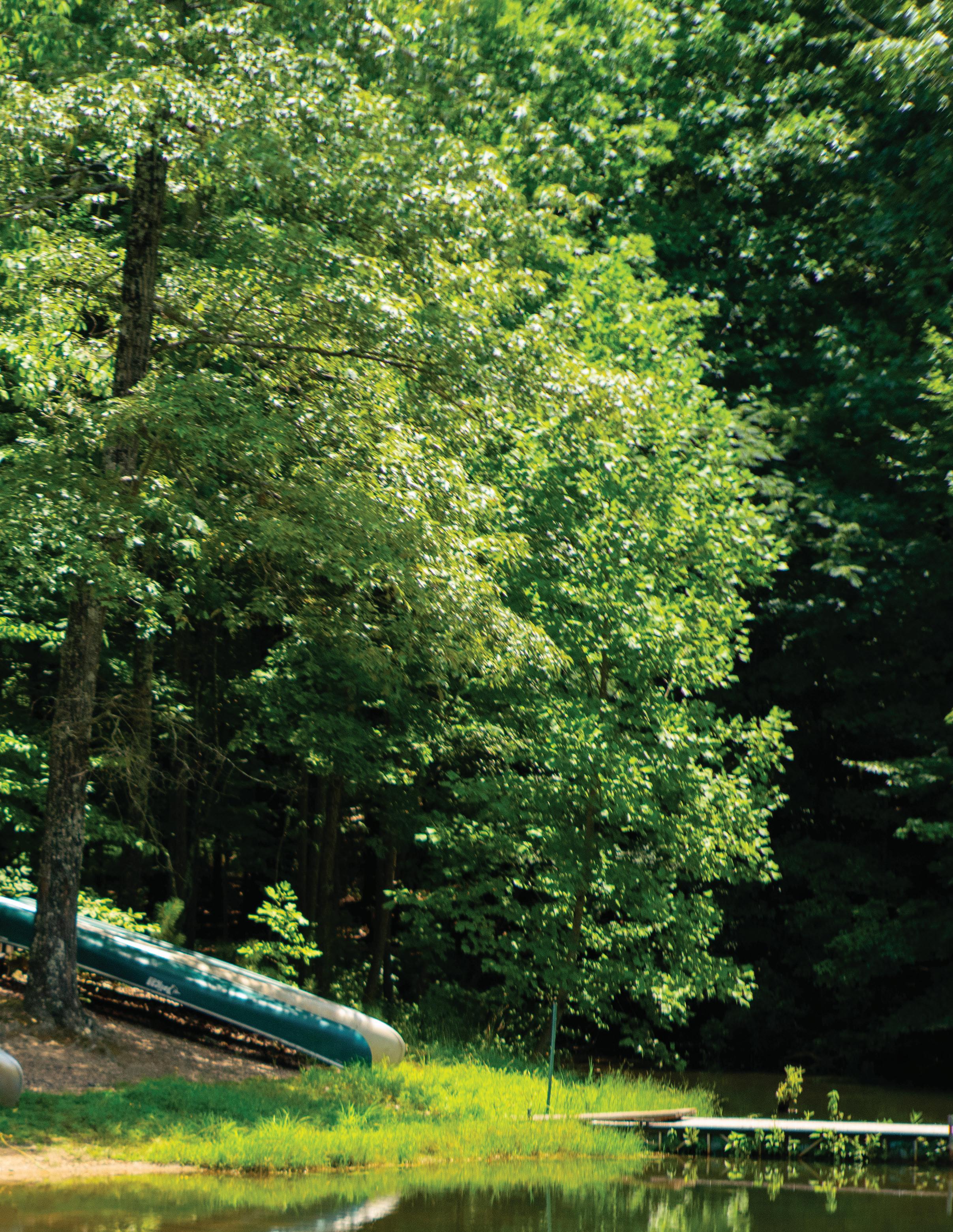 2025 Summer Camp Guide by Girl Scouts of the Colonial Coast - Issuu