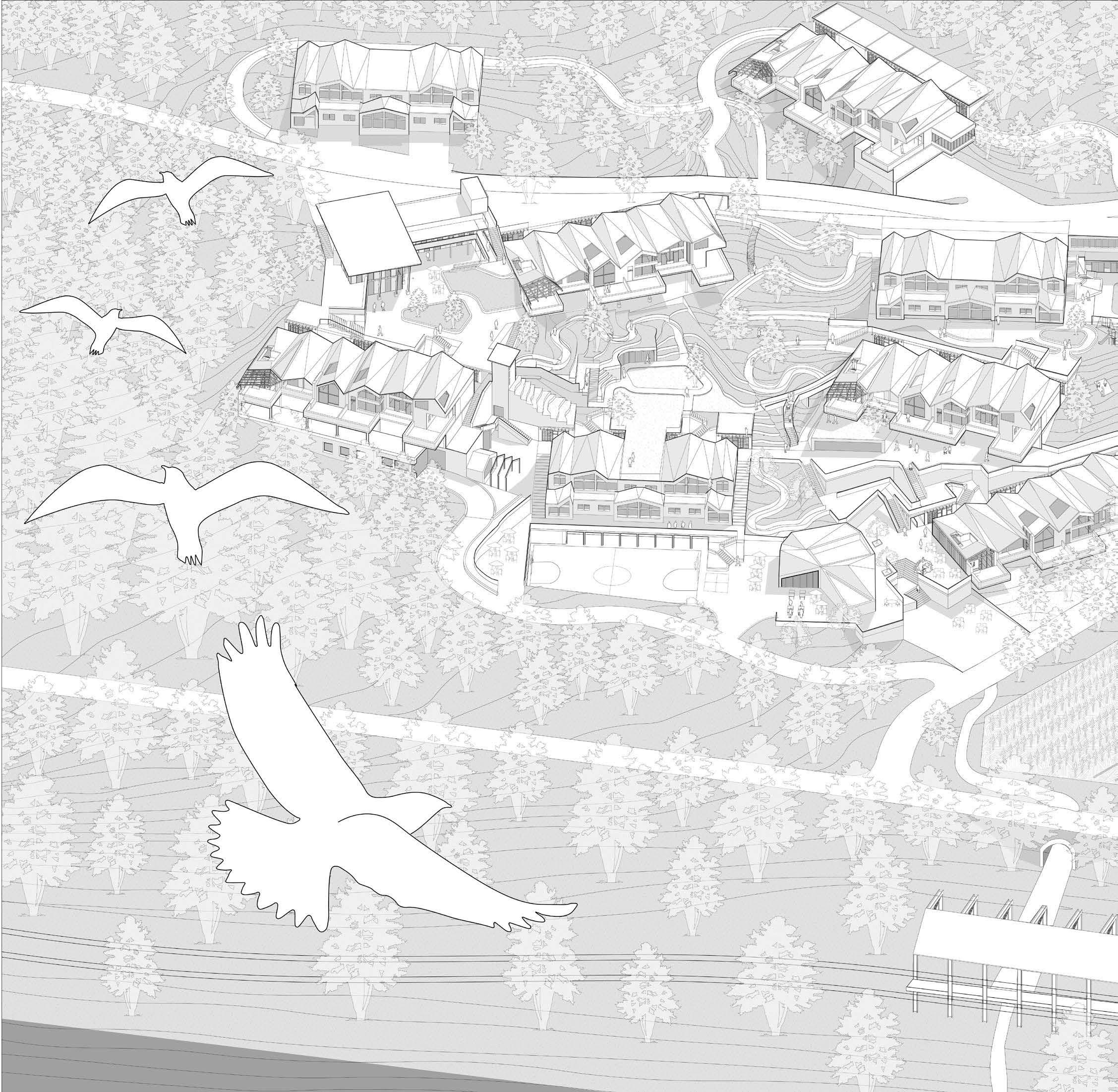 Charlie Hymowitz Spring 2025 Portfolio by charliehymowitz - Issuu