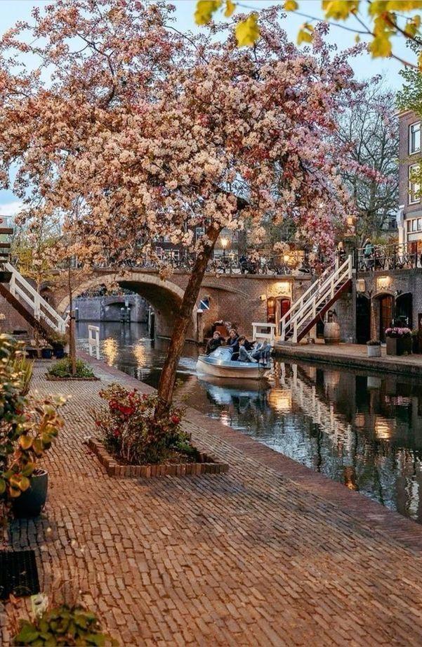 Interior Design Portfolio by emma.vachon - Issuu