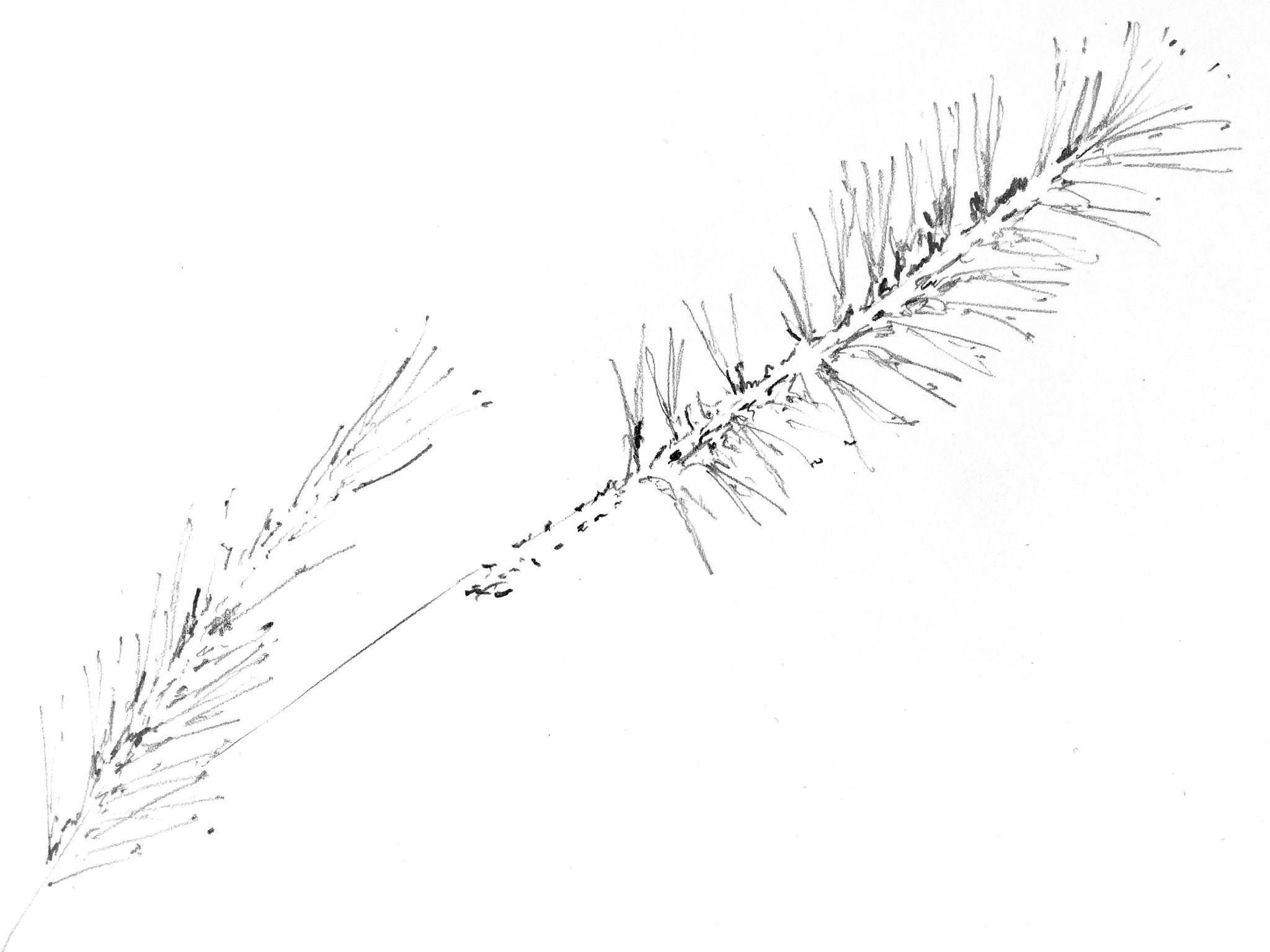 UCL PORTFOLIO by isla.raesmith - Issuu