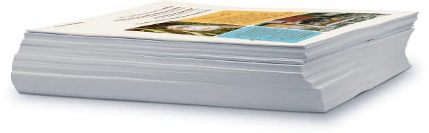 Catálogo Whole Center by Servicio al Cliente Whole Center - Issuu