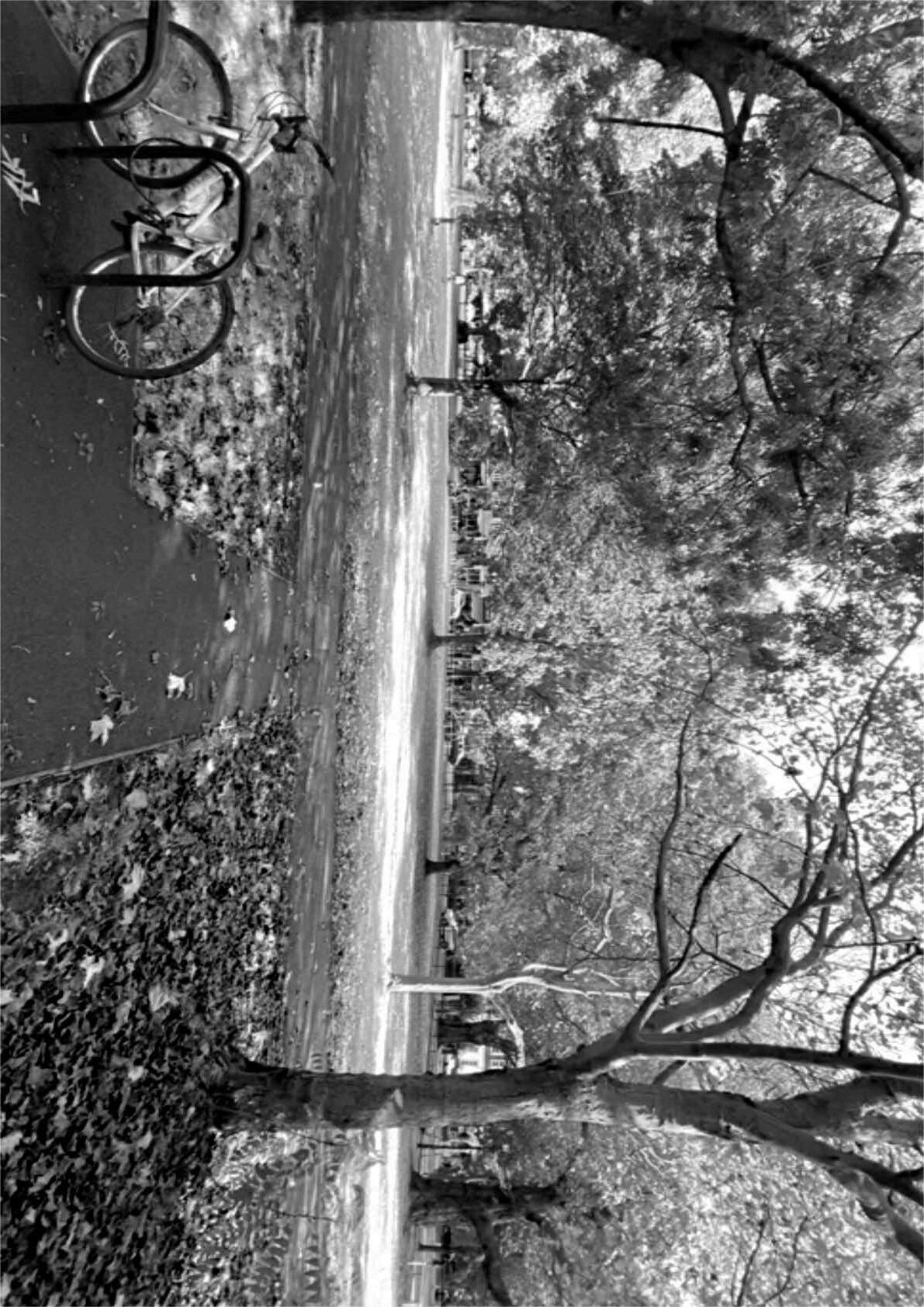 Architect Portfolio by Dawaud Khalil - Issuu