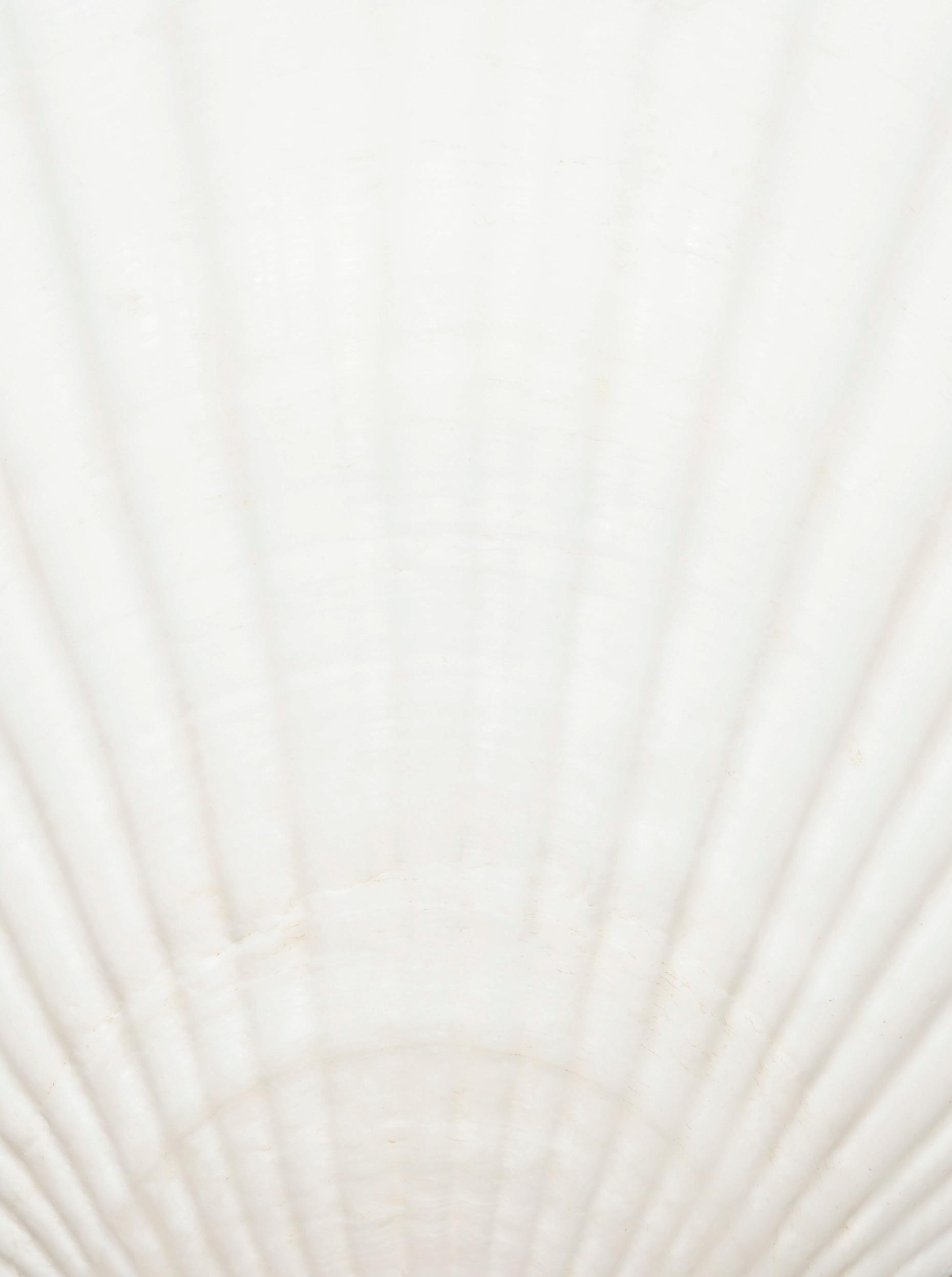 Shell Point Brochure by Shell Point Retirement Community - Issuu