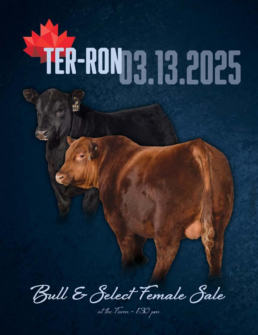 Ter-Ron Bull Sale 2025 by Kathy Matejka - Issuu