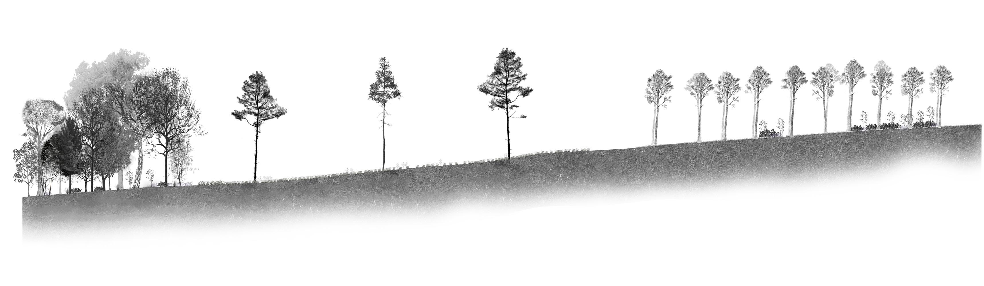 Rustin Roberts Landscape Architecture Portfolio by RRLandArch - Issuu