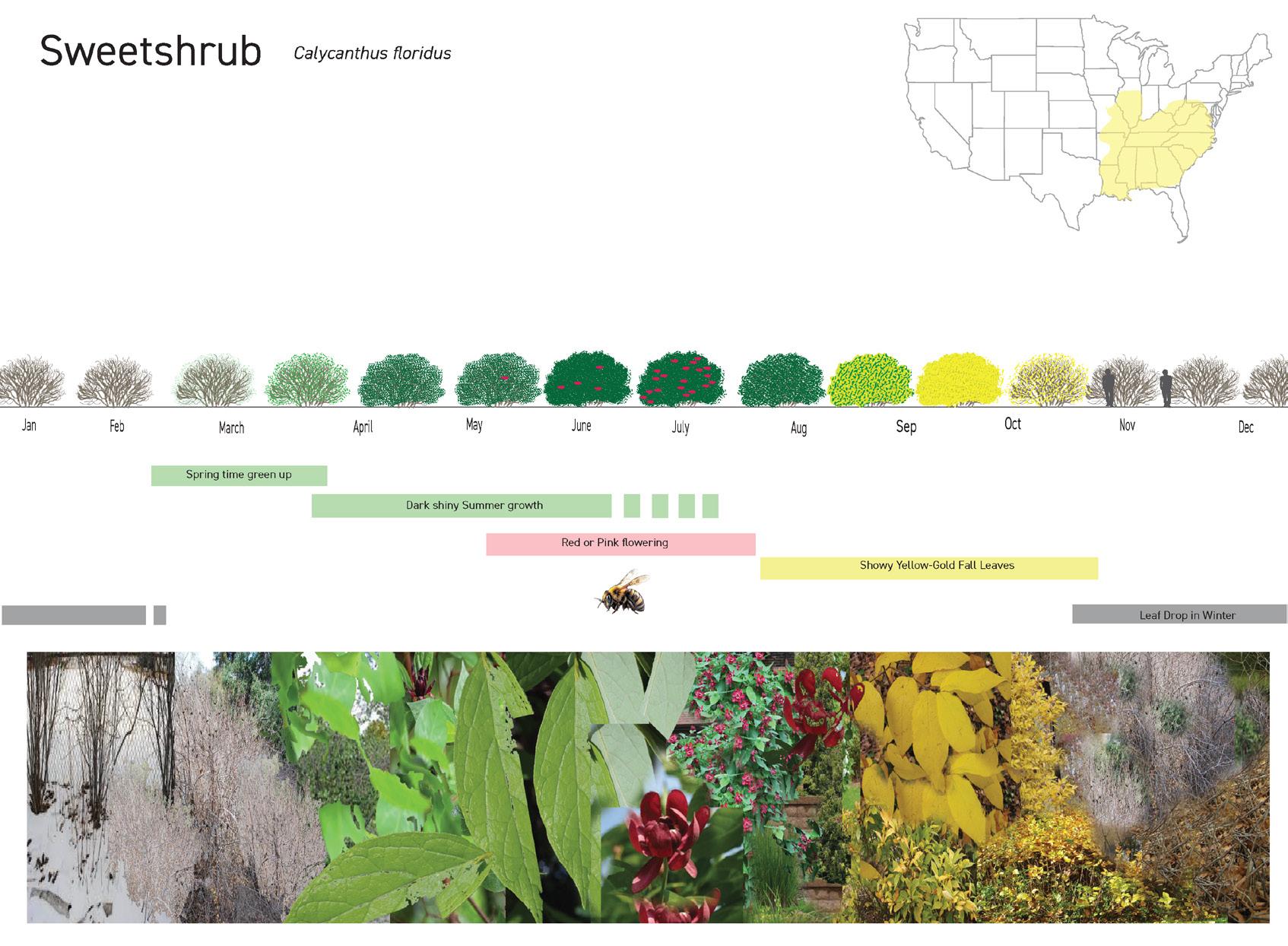 Rustin Roberts Landscape Architecture Portfolio by RRLandArch - Issuu