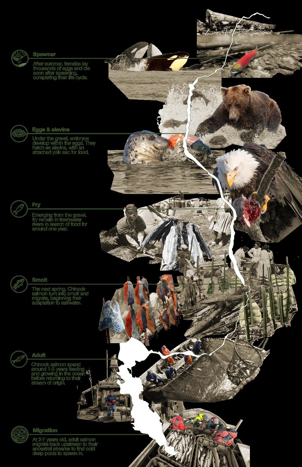 Olive Tang - Landscape Architecture Portfolio by Olive Tang - Issuu