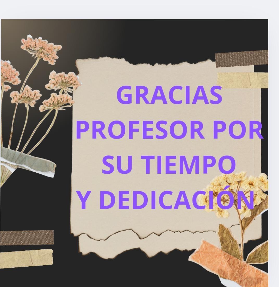 Las plantas la Jhoa 2025 by Lajhoa Peña Lopez - Issuu