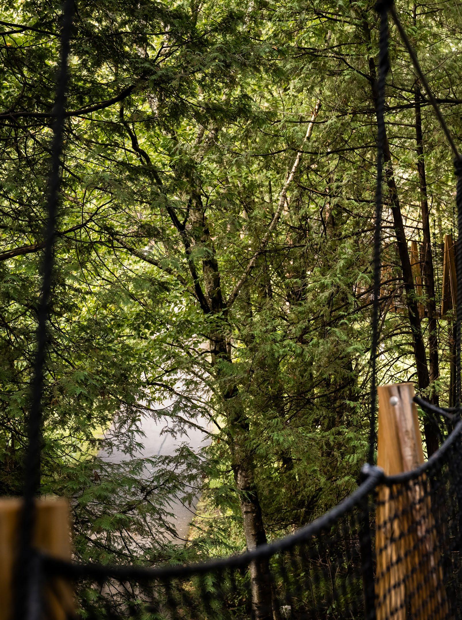 2025 Green Bay Destination Guide by discovergreenbay - Issuu