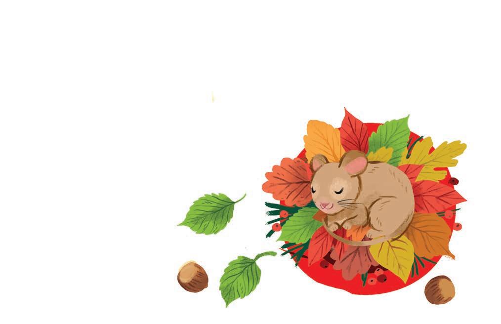 Usborne US - Summer/Fall Catalog 2025 | Be Curious by Usborne - Issuu