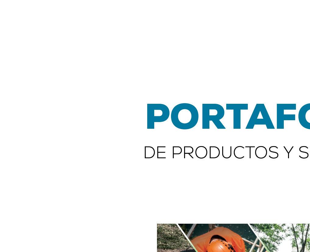 Portafolio 2025 by caribbean turf - Issuu