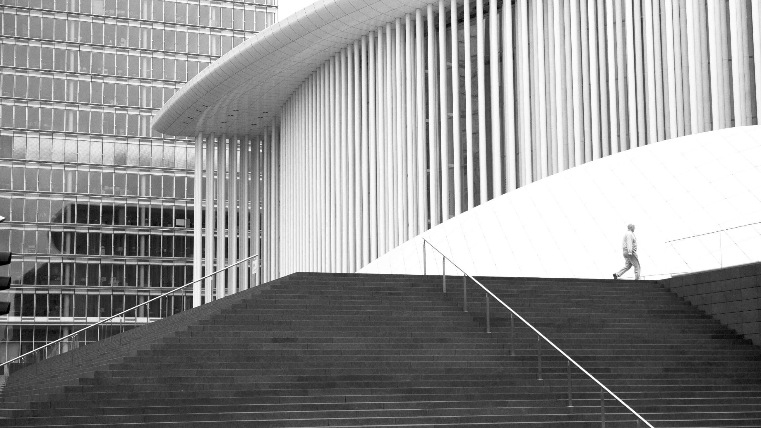 Portfolio_ReemAli by Reem Ali - Issuu