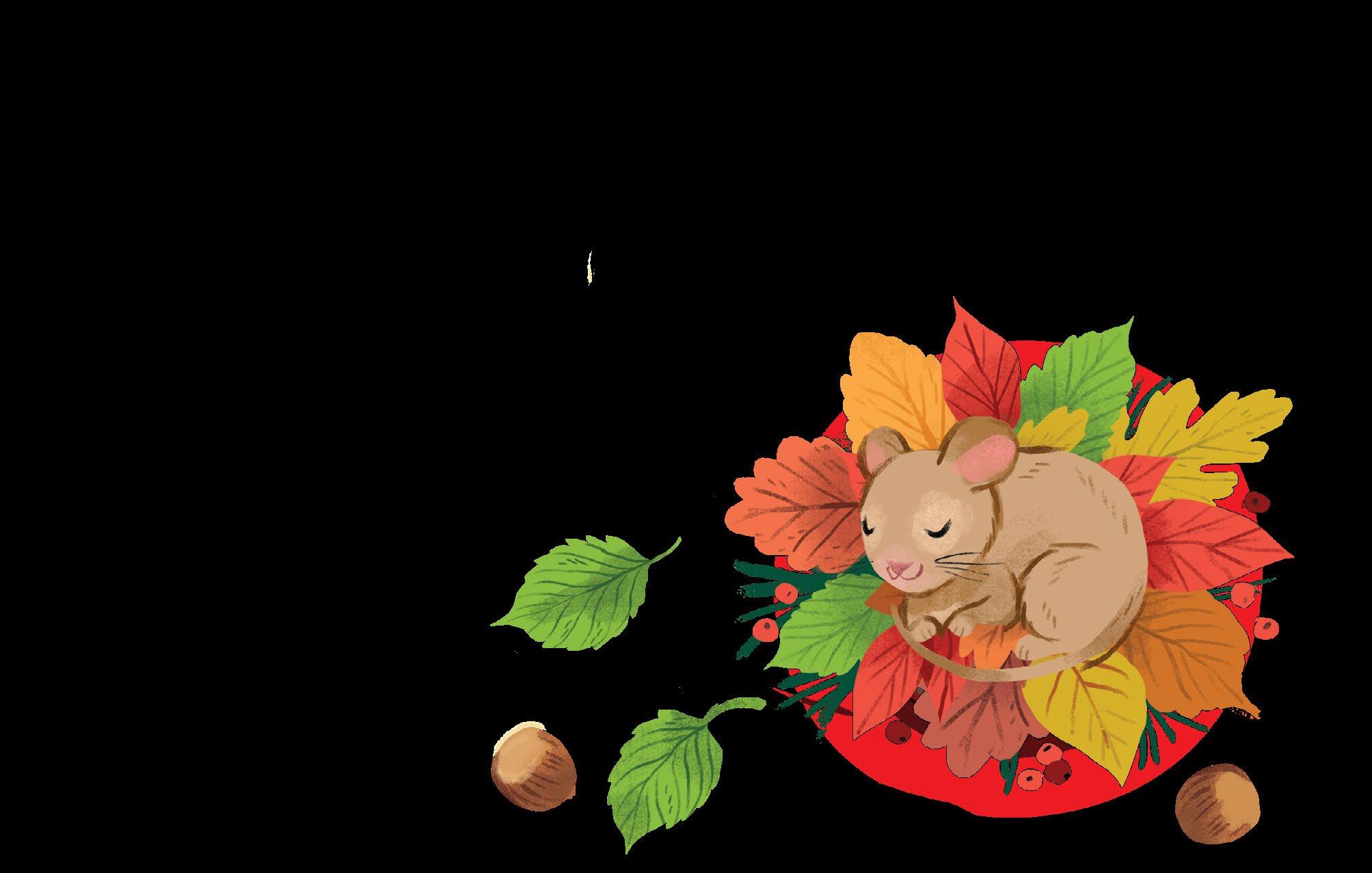 Usborne US - Summer/Fall Catalog 2025 | Be Curious by Usborne - Issuu