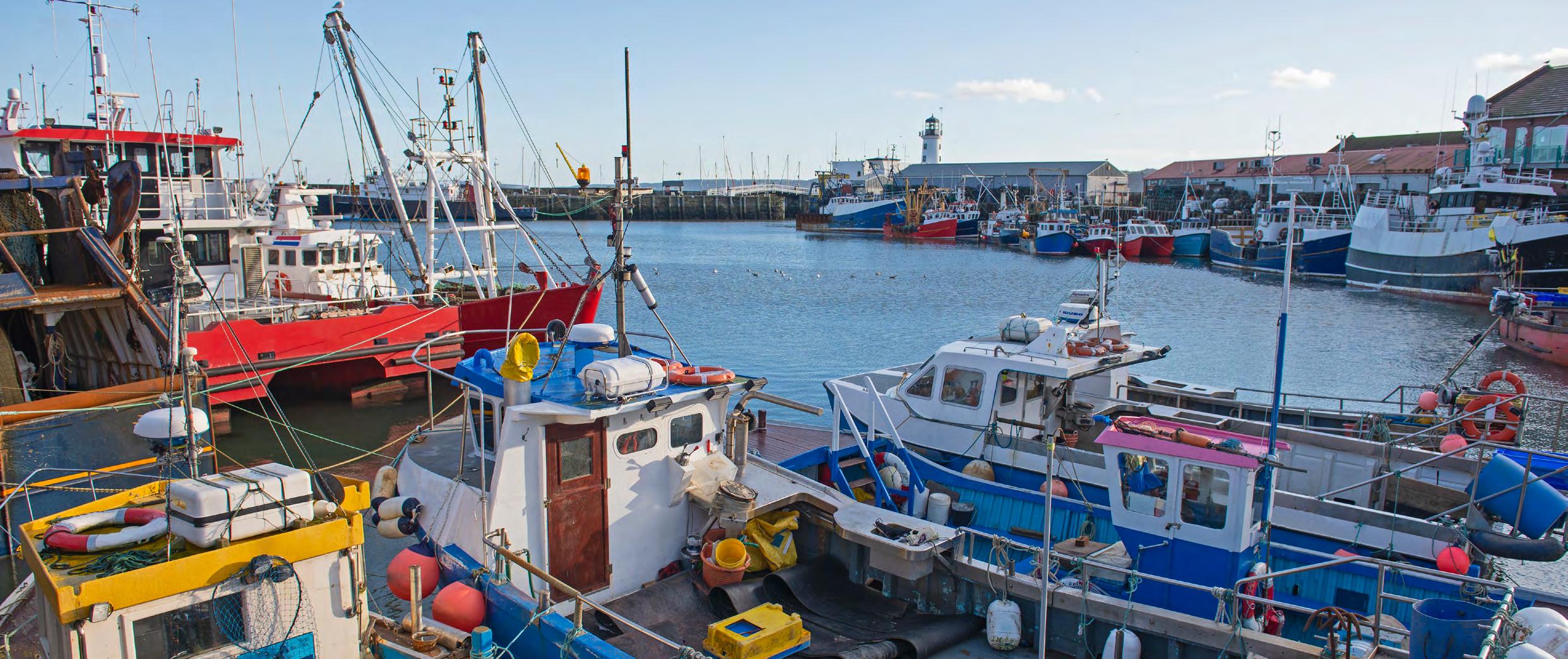 Witham Group Lubricant Product Brochure by withamgroup - Issuu