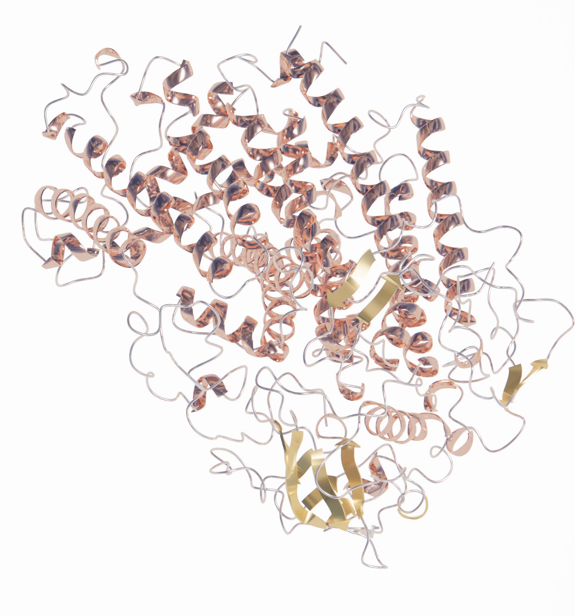 Hiro Chemers - Bio-ID Portfolio Submission by Hiro Chemers - Issuu