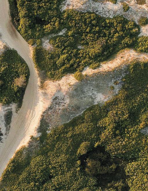 Workshop/APD - Selected Work 2025 by Workshop/APD - Issuu