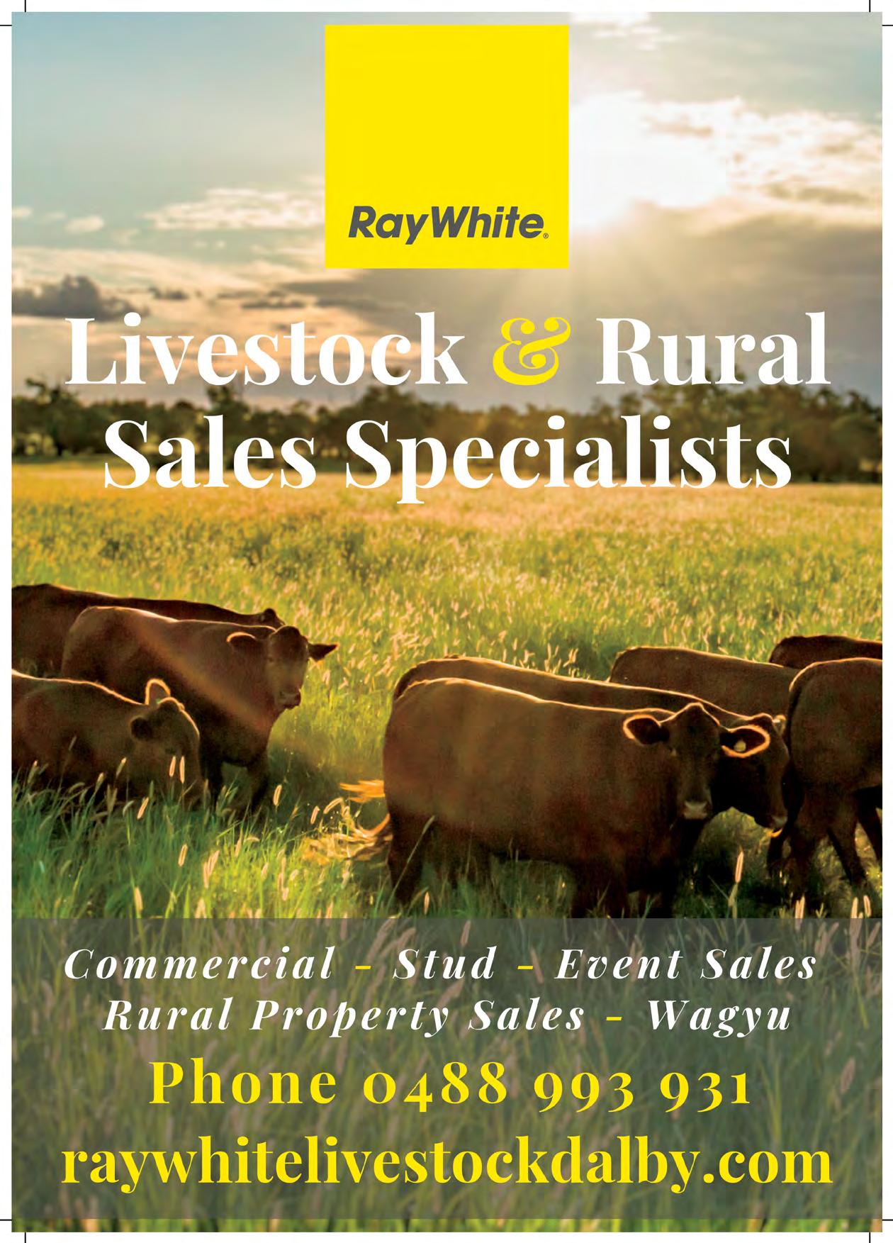 2025 AWA PROGRAM DIGITAL by Australian Wagyu Association - Issuu