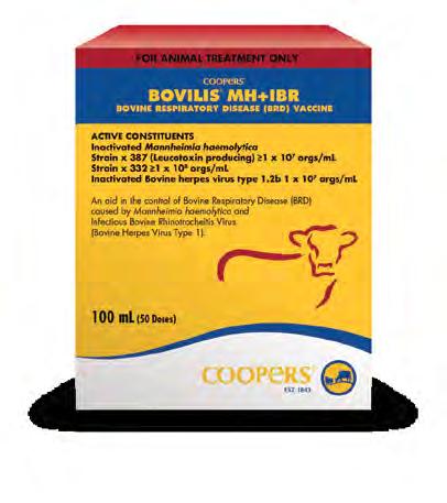 2025 AWA PROGRAM DIGITAL by Australian Wagyu Association - Issuu