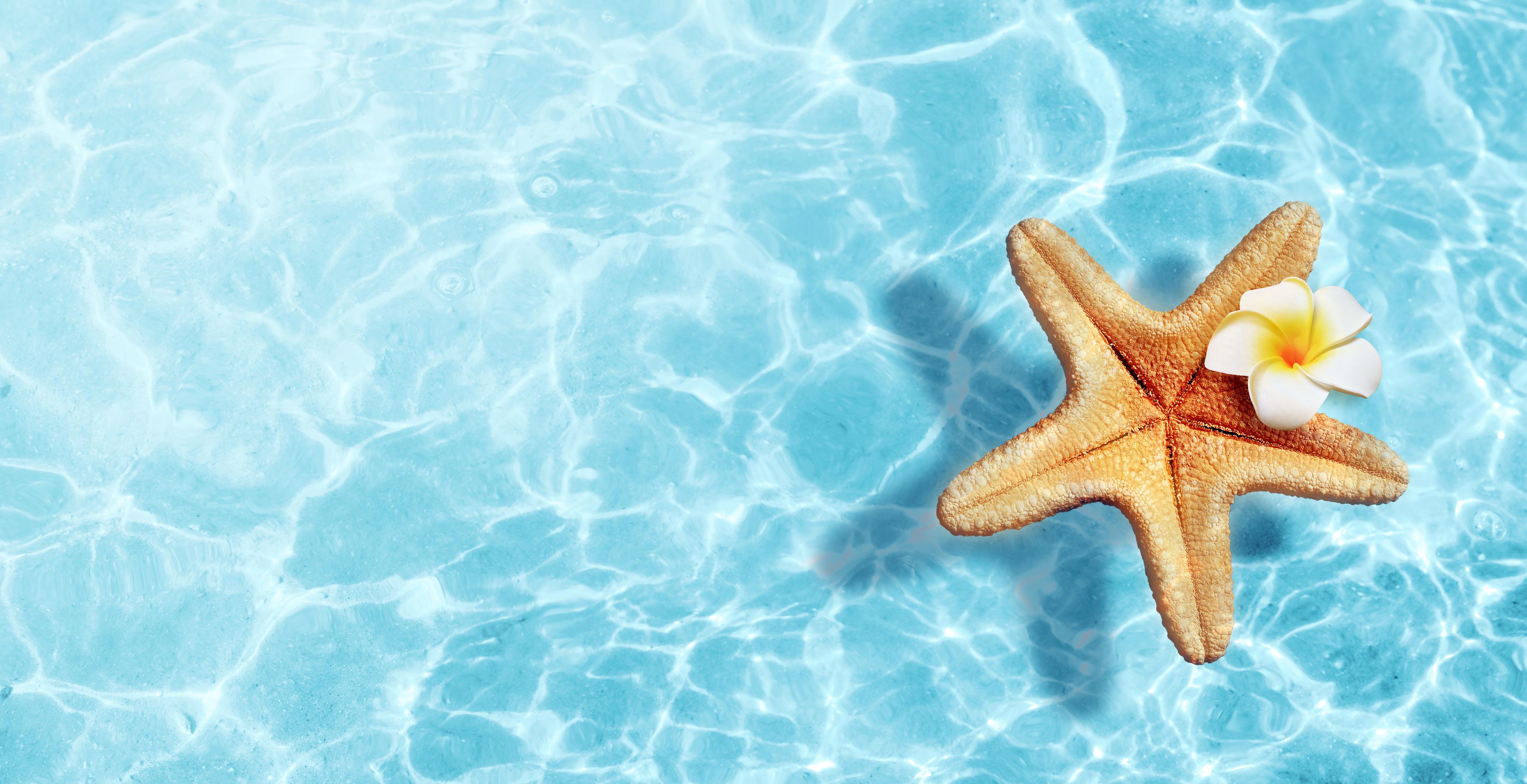 Stacey Kimberly - Portfolio by StaceyKimberly - Issuu