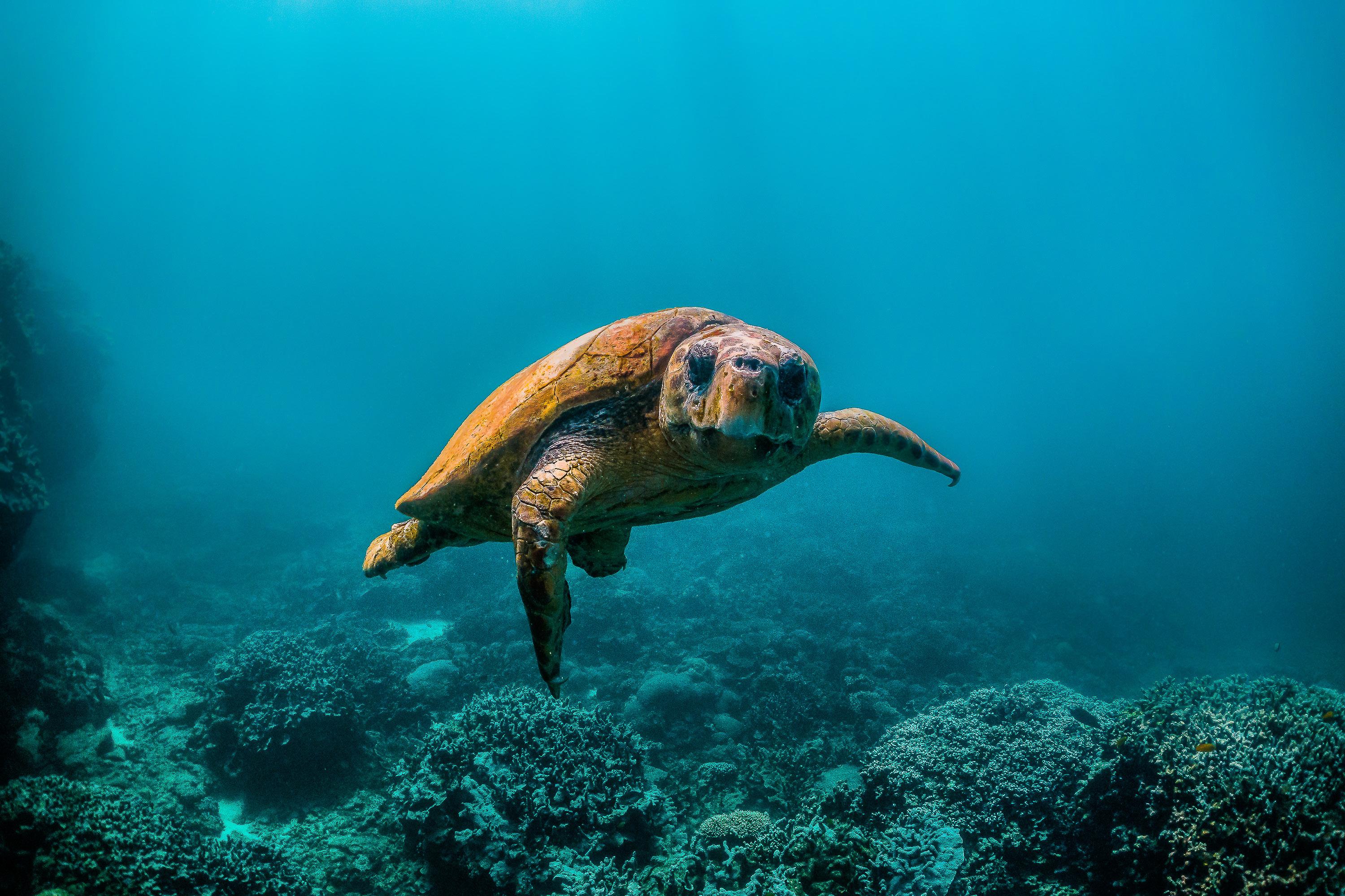 Stacey Kimberly - Portfolio by StaceyKimberly - Issuu