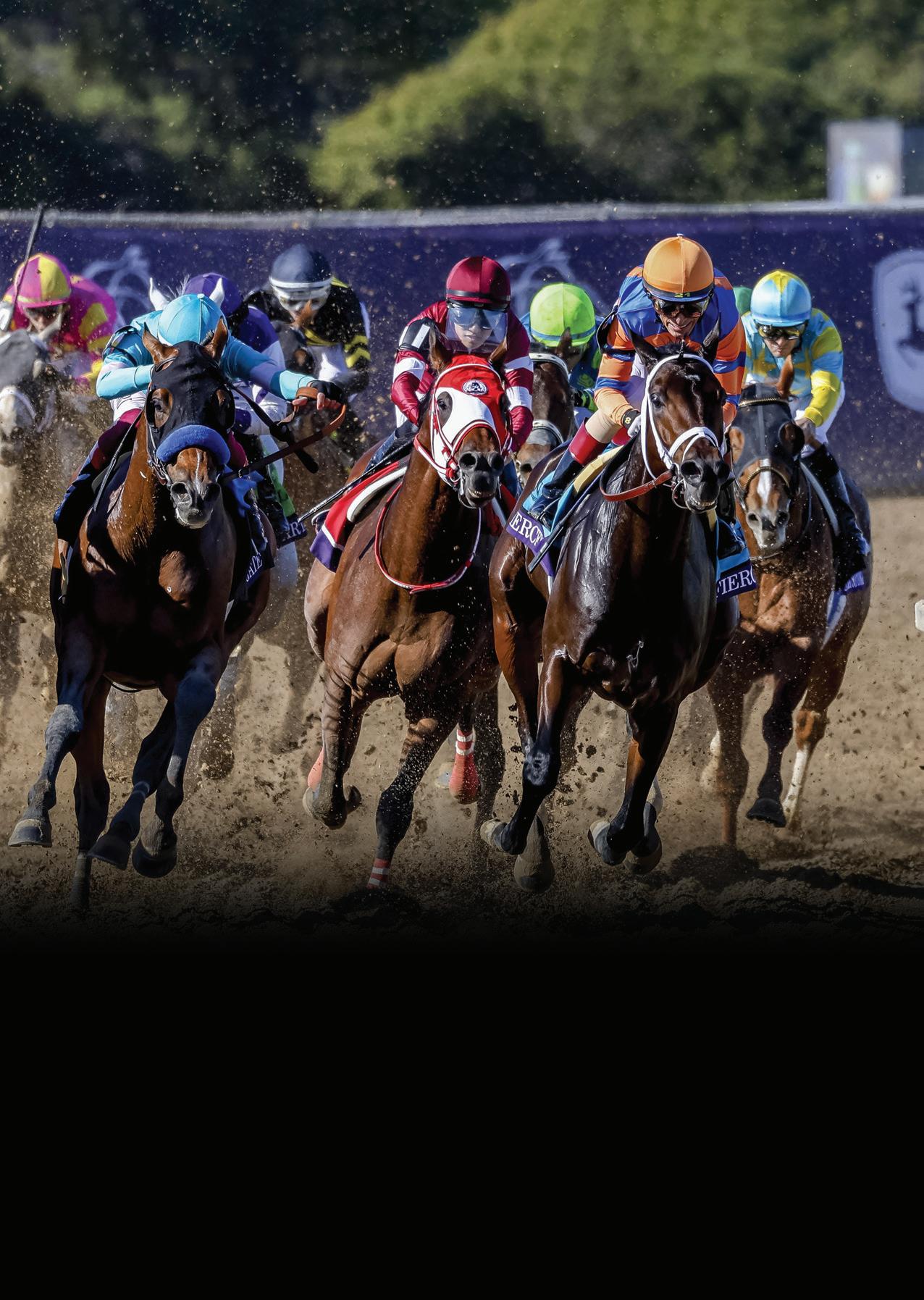 North American Trainer - Triple Crown 2025 - issue 76 by Trainer ...