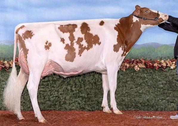 2025 Northeast Spring Spectacular Sale 2 by MWolf.WAG - Issuu