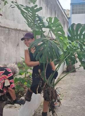 Portfólio2025 by Vinicius Ferreira Mattos - Issuu