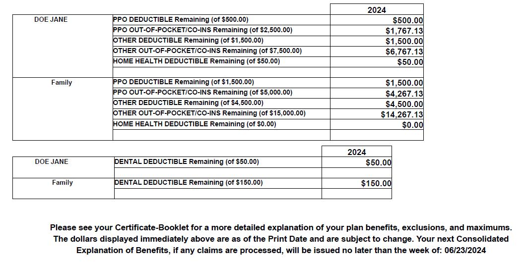 NLB Member Kit-English by Nippon Life Benefits - Issuu