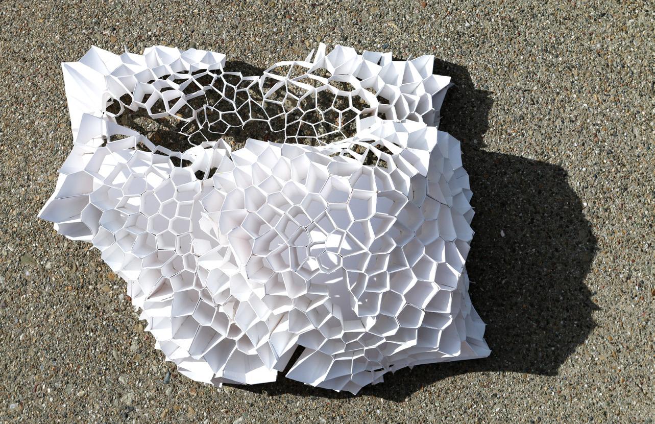 Lindsay Eklund_Design Portfolio by Lindsay Eklund - Issuu