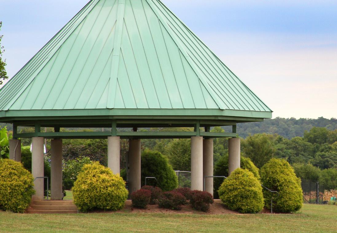 2025 Summer Leesburg At Leisure by Town of Leesburg Parks and ...