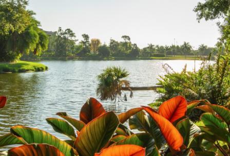 BBCA Safe Harbor Plan by bonitabayresid - Issuu
