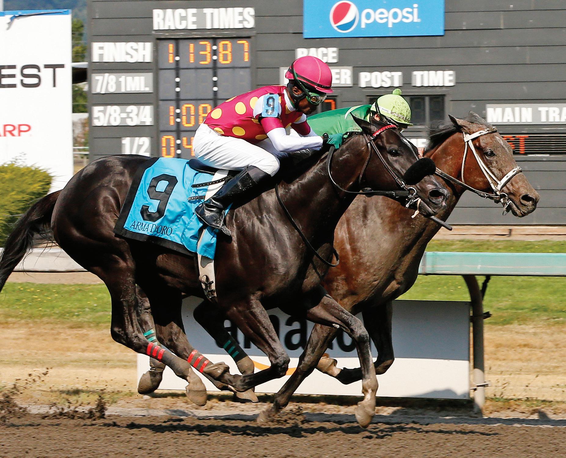 CB3_Condition Book 2025 by racingstatsandinfo.com - Issuu