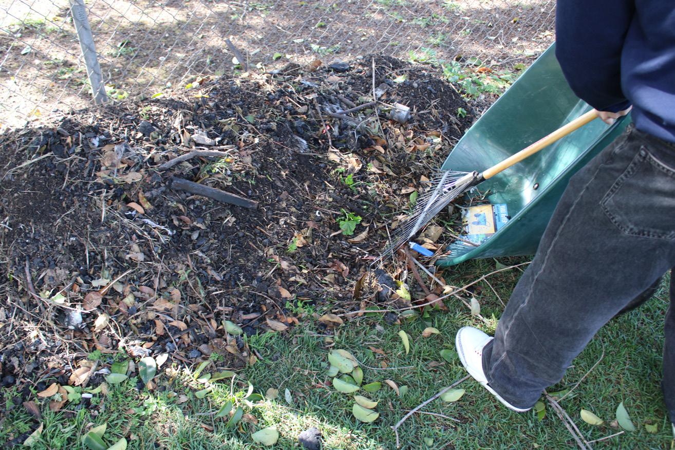 City of Stockton | Community Services | Summer Activity Guide 2025 by ...