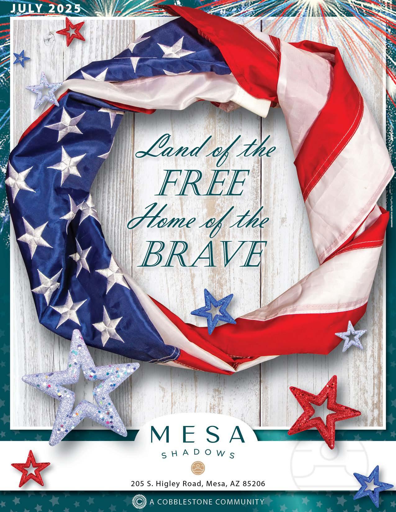 Mesa Shadows - December 2024 Newsletter - E PAGES (1) by tharakanconsulting - Issuu