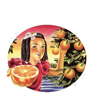 Perricone Farms Product Guide by Nataliesoj - Issuu