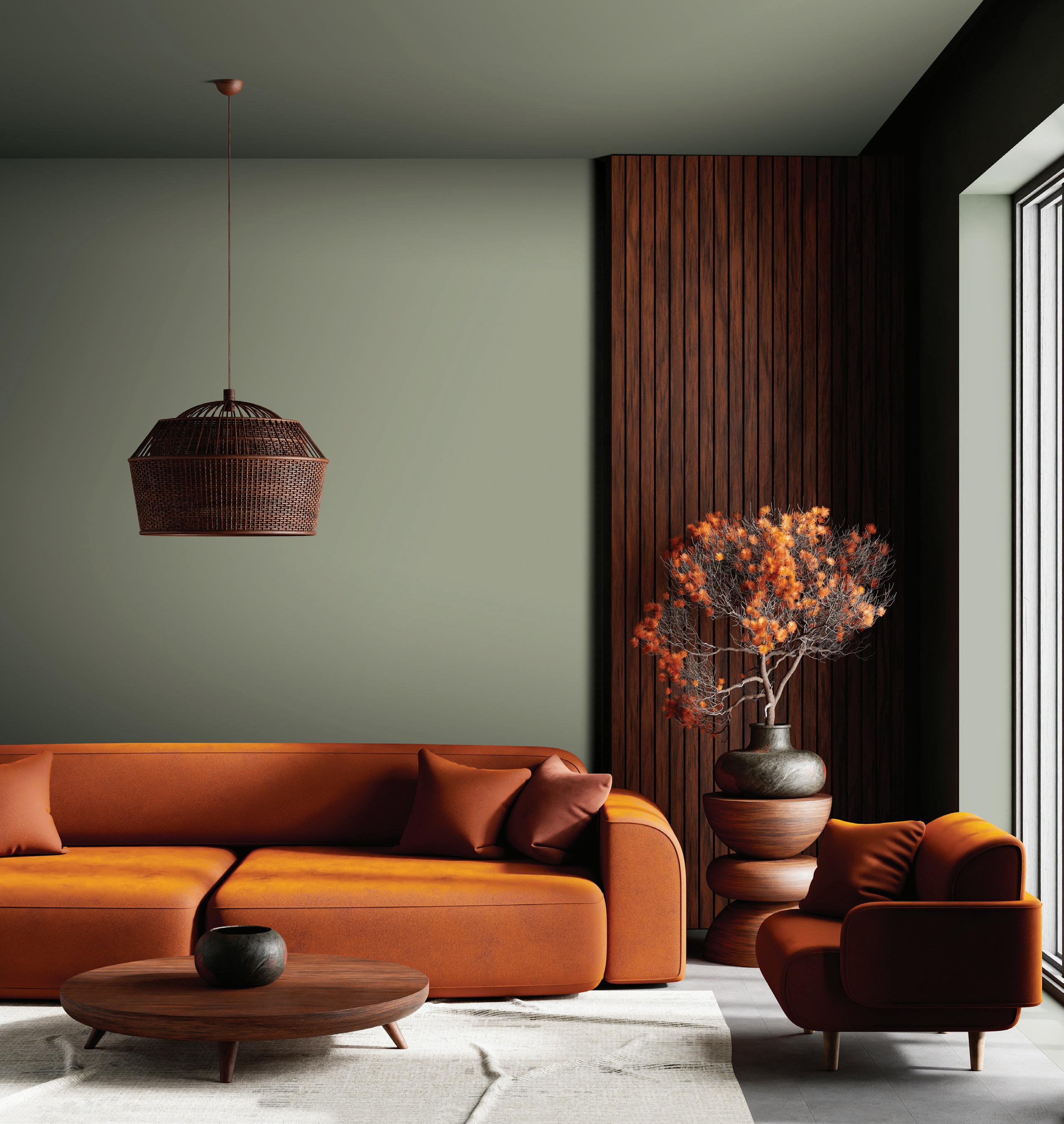 Curated Color Palette Brochure by Dunn-Edwards - Issuu